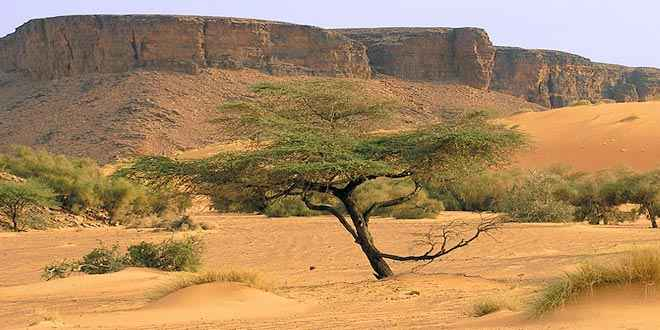 Akjoujt, orasul - fantoma