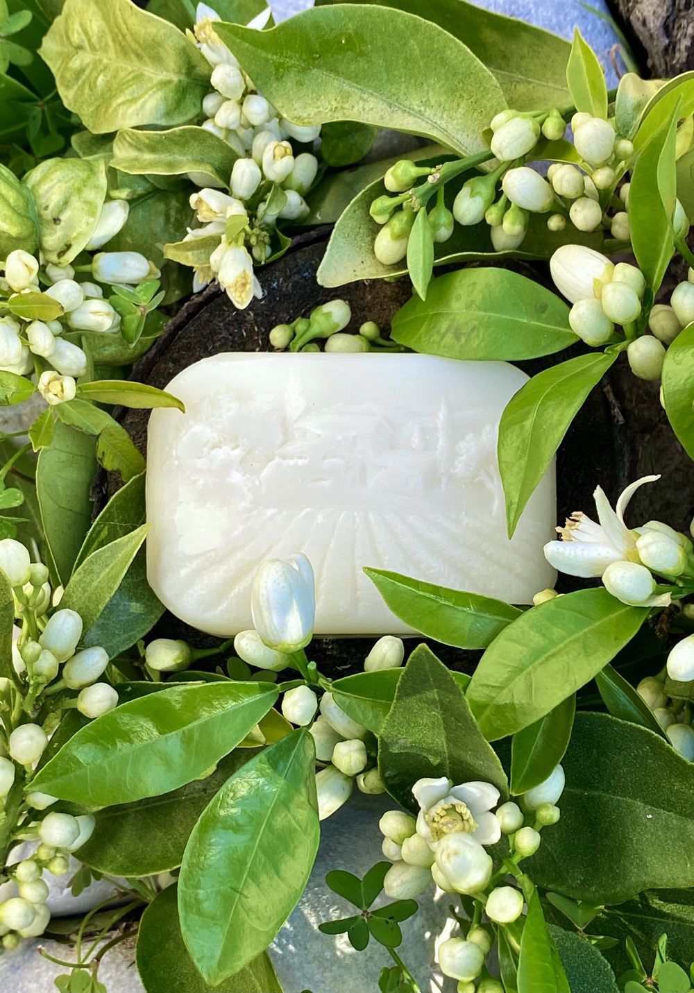 Florile de portocal și beneficiile acestora